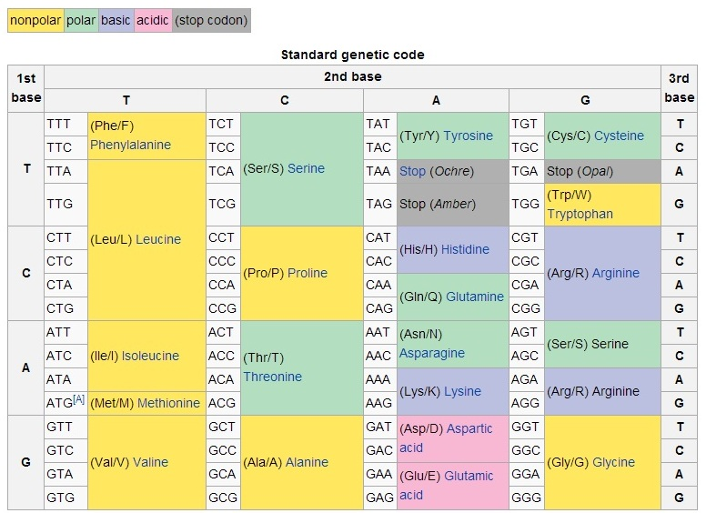 Evolution, Part III: Genomic Evidence – Debunking Denial