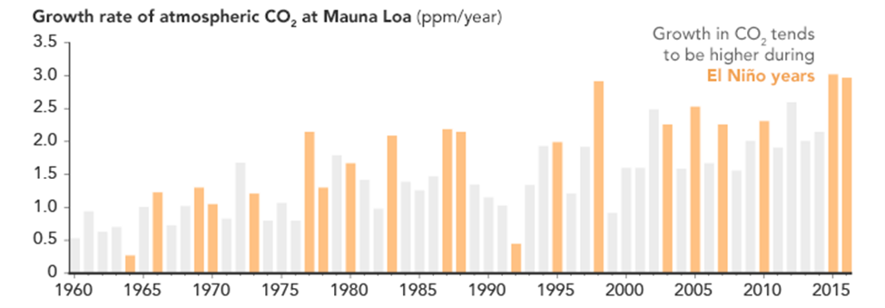 Ocean Currents, Weather, and Climate – Debunking Denial