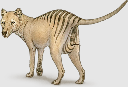 Reviving Extinct Species, Part II: De-Extinction Biotechnology and ...