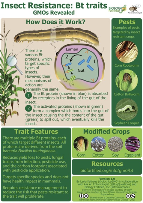 Genetically Engineered Crops, Part I – Debunking Denial